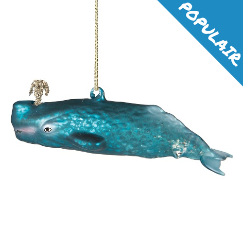 Blauwe walvis (potvis)